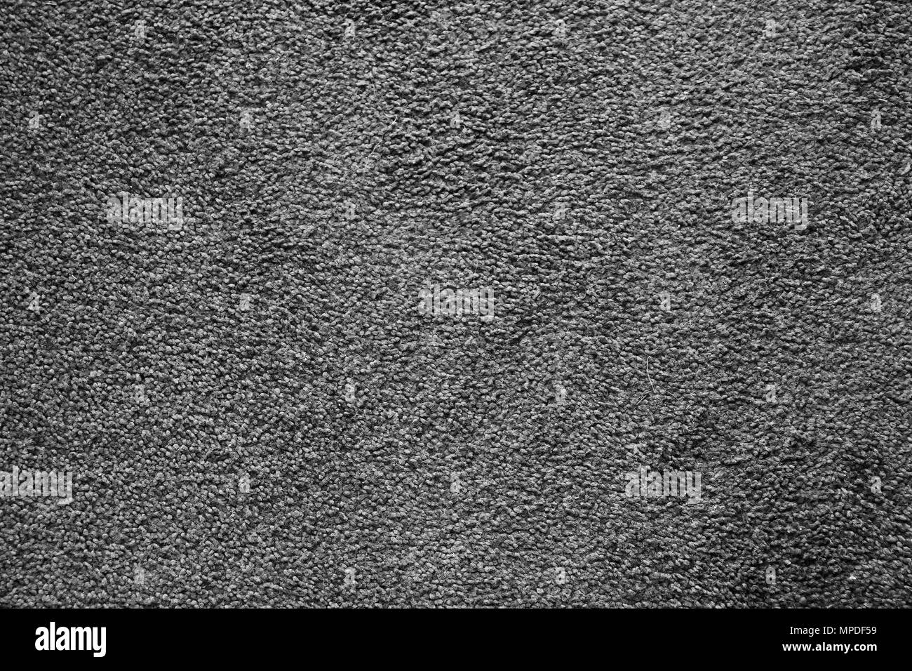 Black carpet hi-res stock photography and images - Alamy