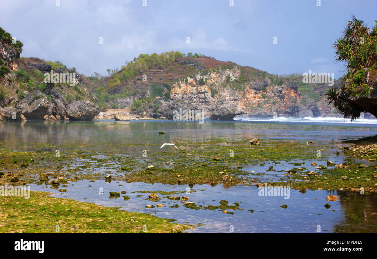 Pantai drini hi-res stock photography and images - Alamy