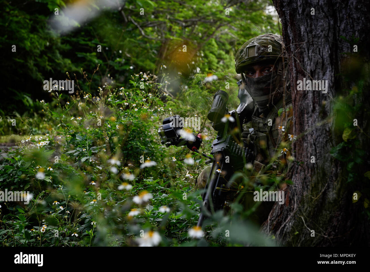 Base flanking hi-res stock photography and images - Alamy