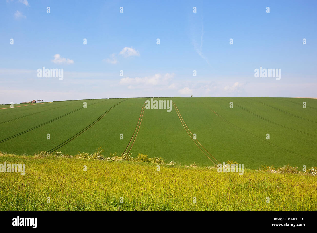 Hillside and wheat hi-res stock photography and images - Alamy