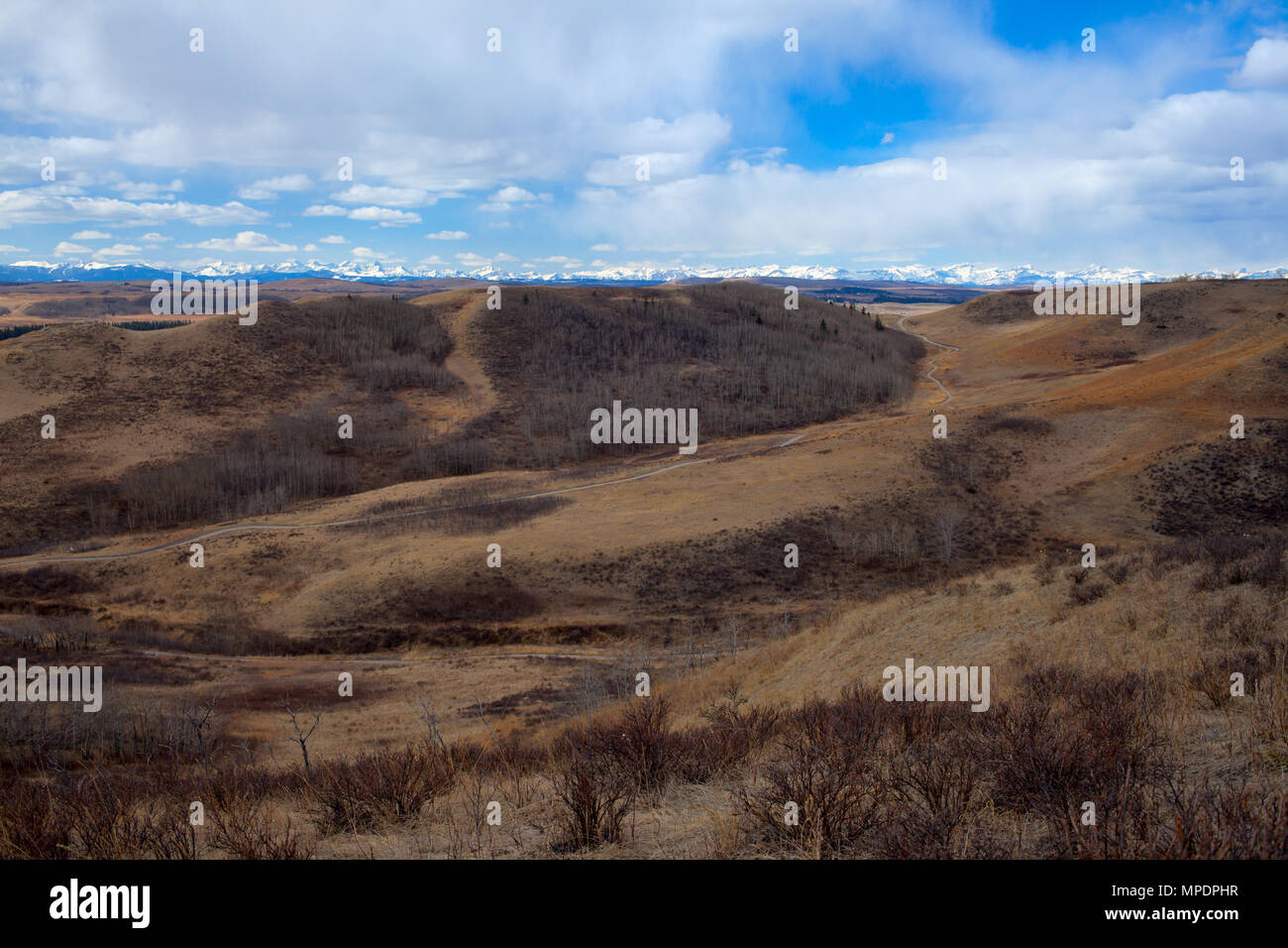 Trail though the beautiful Glenbow Ranch Provincial Park in Alberta ...
