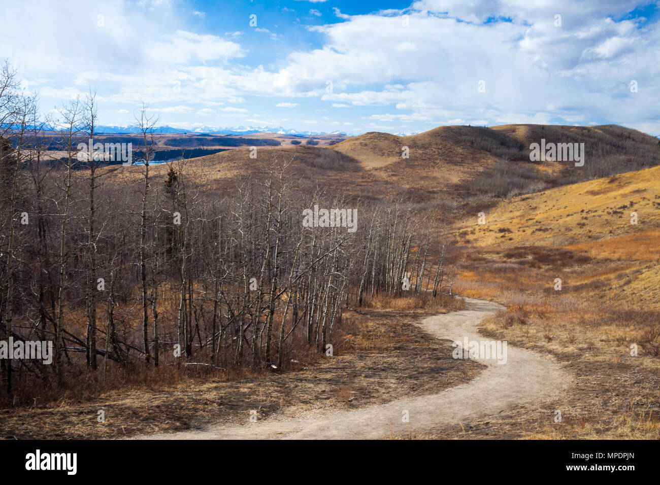 Trail though the beautiful Glenbow Ranch Provincial Park in Alberta ...