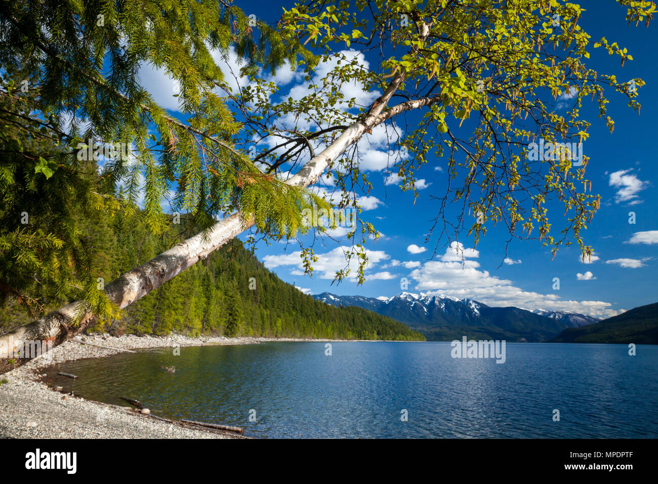 Nakusp british columbia hi-res stock photography and images - Alamy