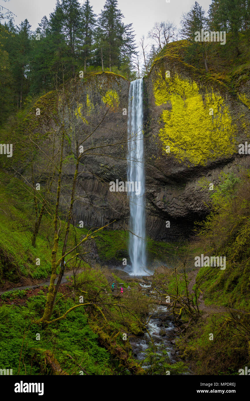 Latourell falls in spring hi-res stock photography and images - Alamy