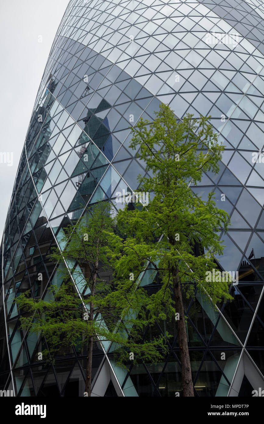 Gherkin tree hi-res stock photography and images - Alamy
