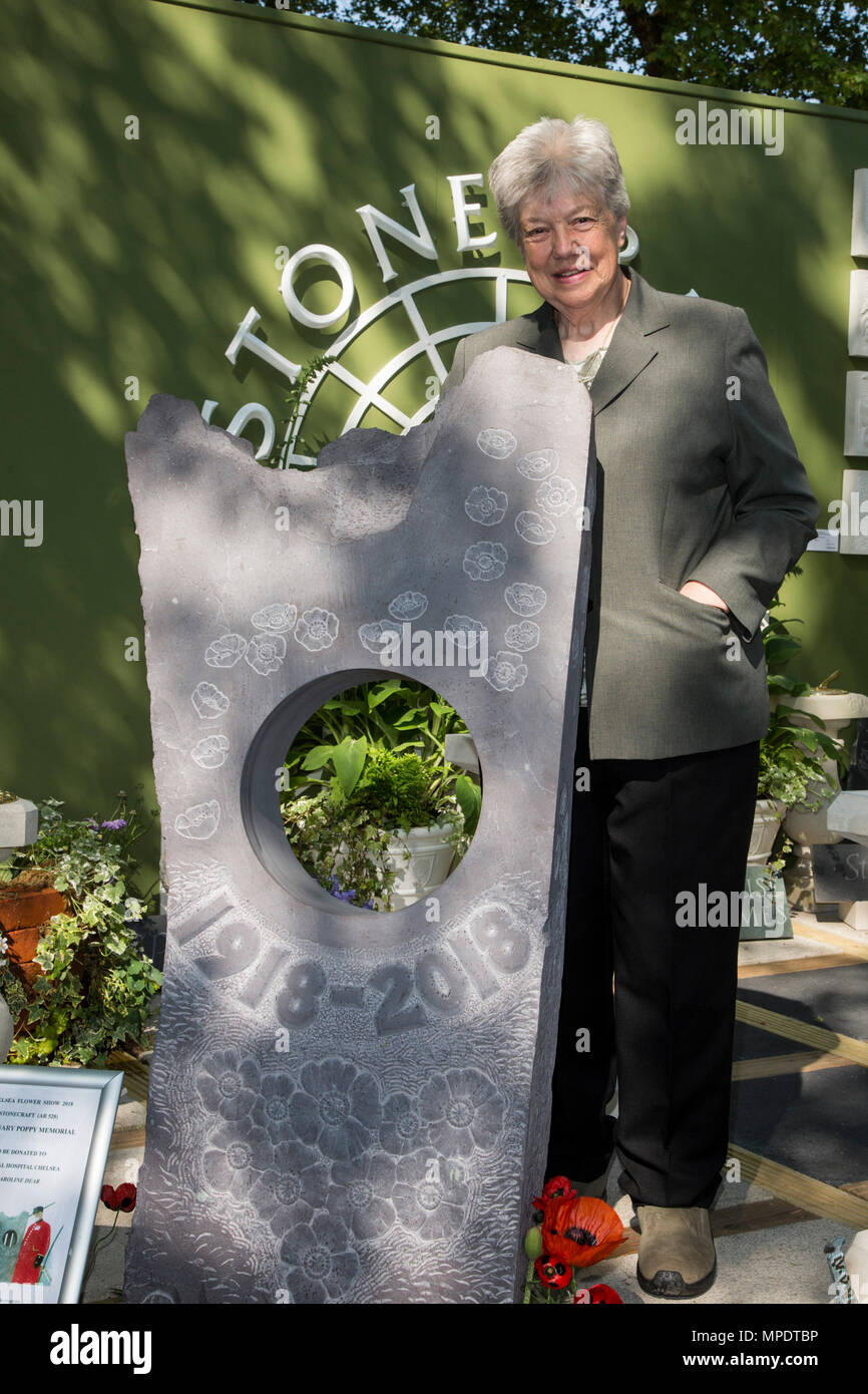 Centenary Poppy Memorial in remembrance of the end of World War I. The ...