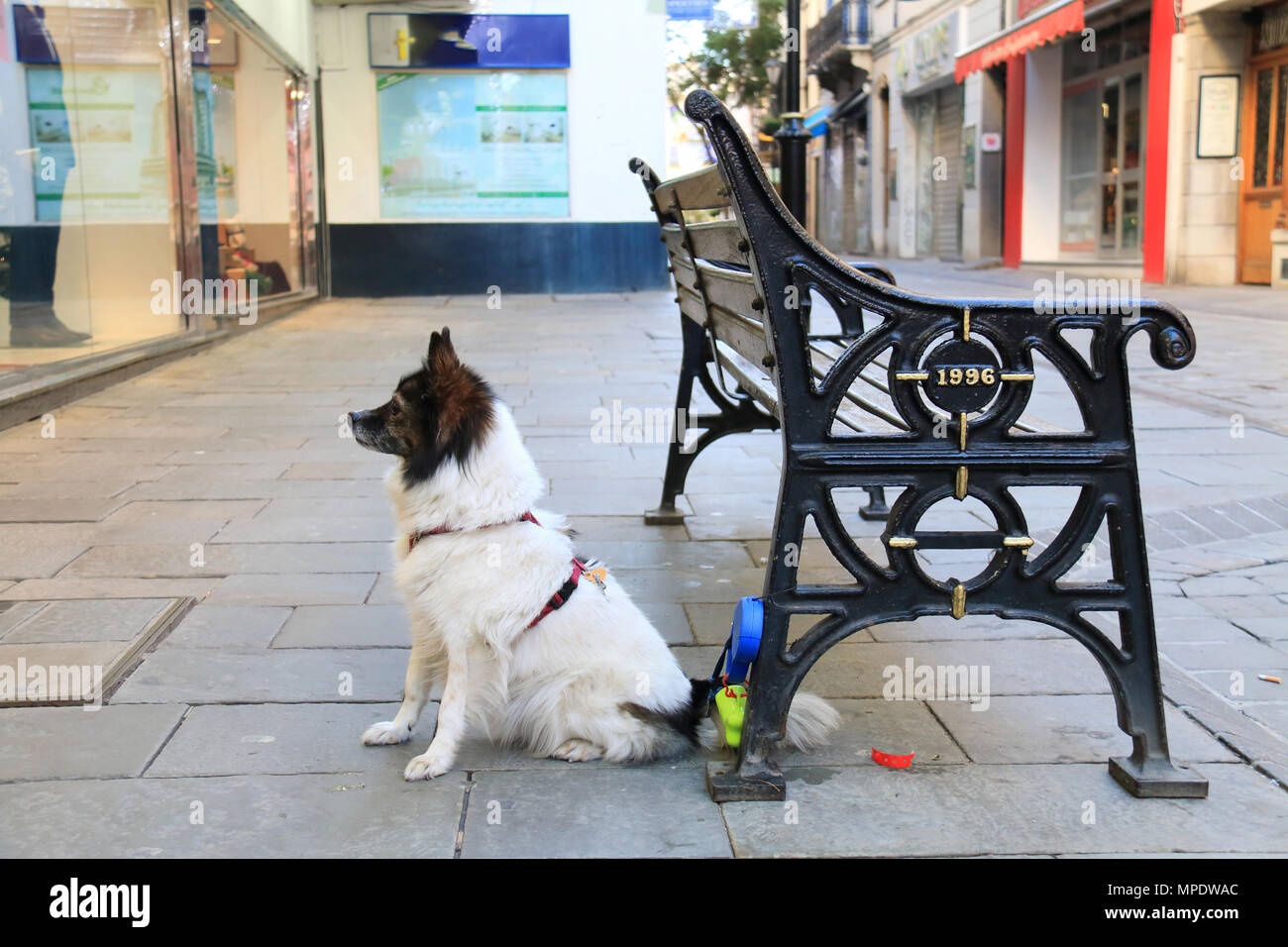 Tied to a bench hi-res stock photography and images - Alamy