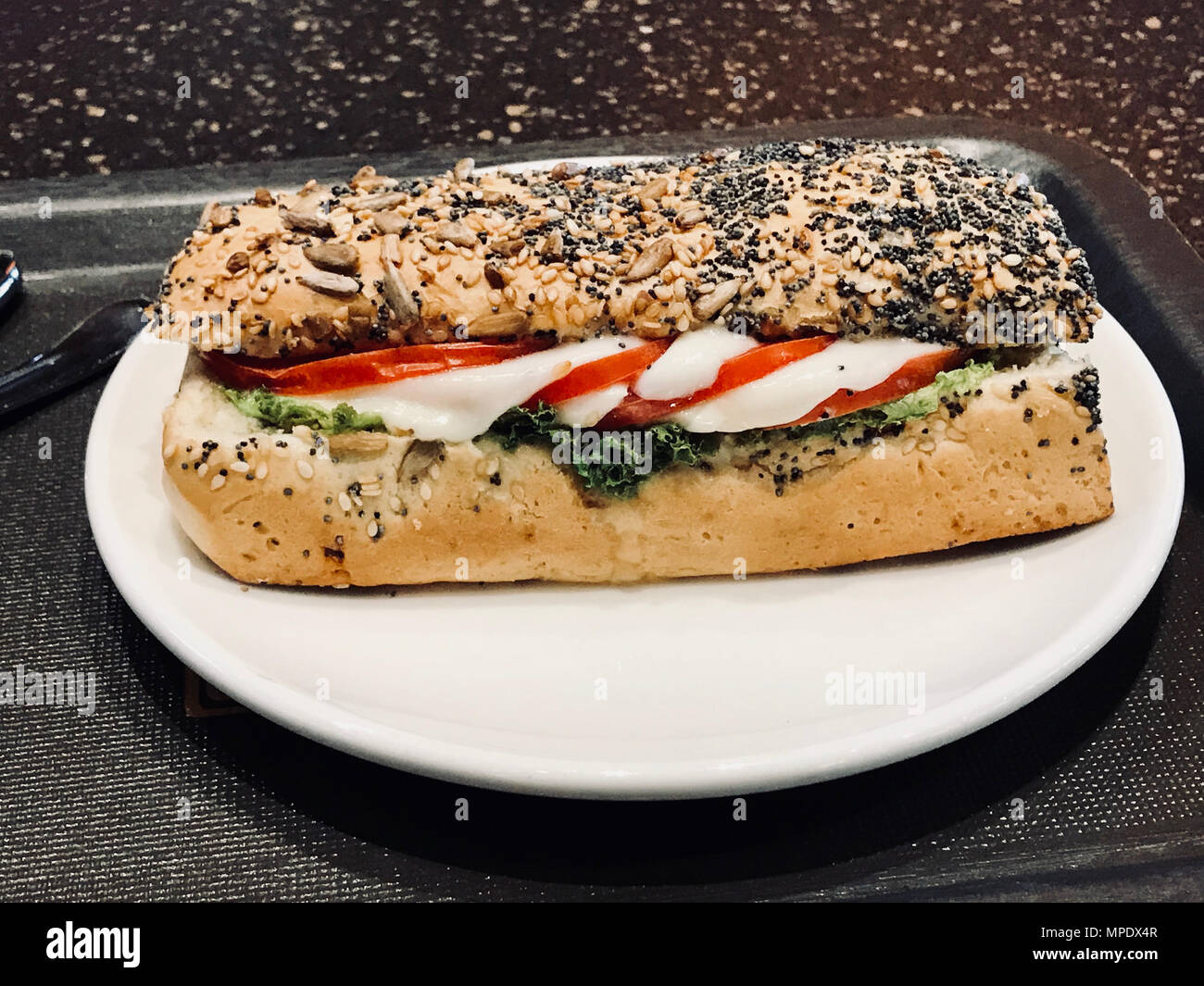 Mozzarella Sandwich in Poppy Seed Bread served with Tray. Fast food ...
