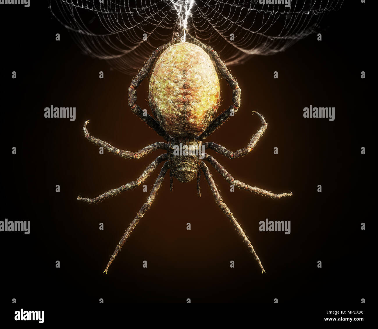 Abstract closeup of a huge spider dangling from its web . 3d rendering ...