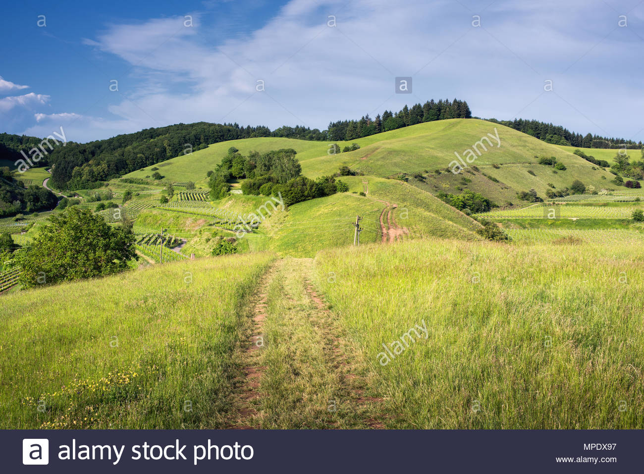 German Agriculture Stock Photos & German Agriculture Stock Images - Alamy
