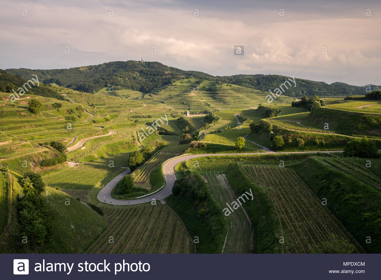 German Agriculture Stock Photos & German Agriculture Stock Images - Alamy