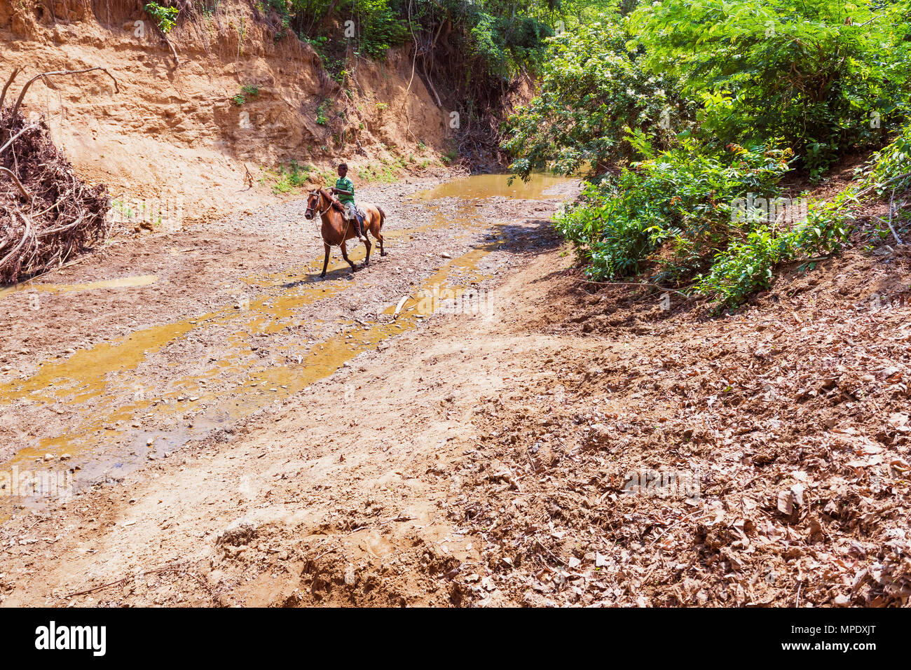 Palenque river hi-res stock photography and images - Alamy