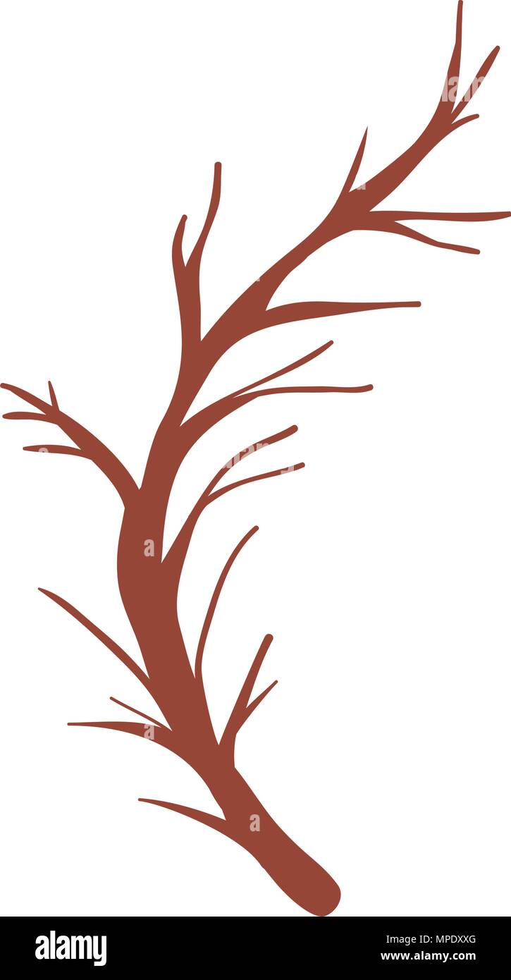 autumn tree branche wooden vector illustration design Stock Vector ...