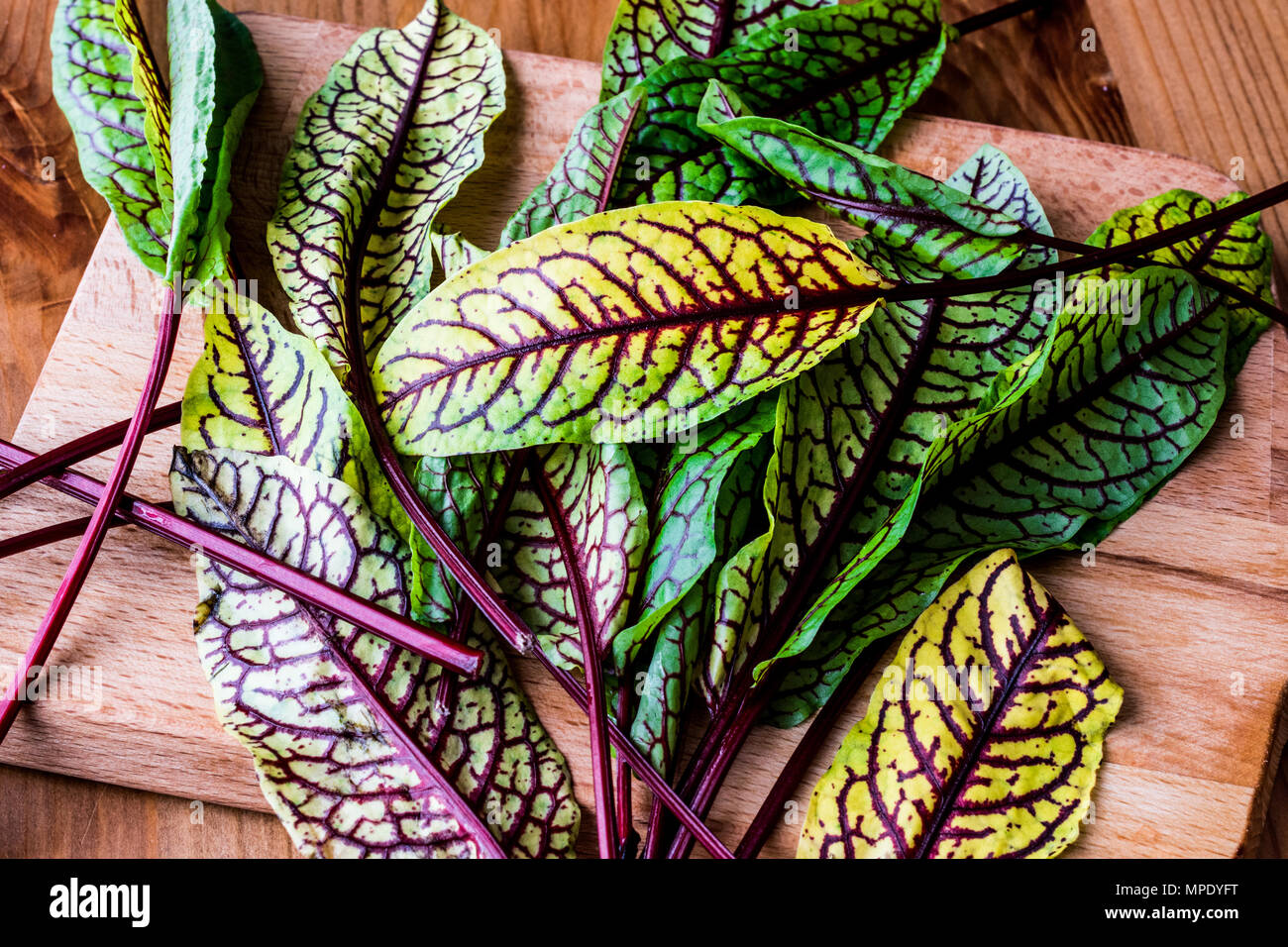Fresh Sorrel Leaves closeup view. Organic product Stock Photo - Alamy