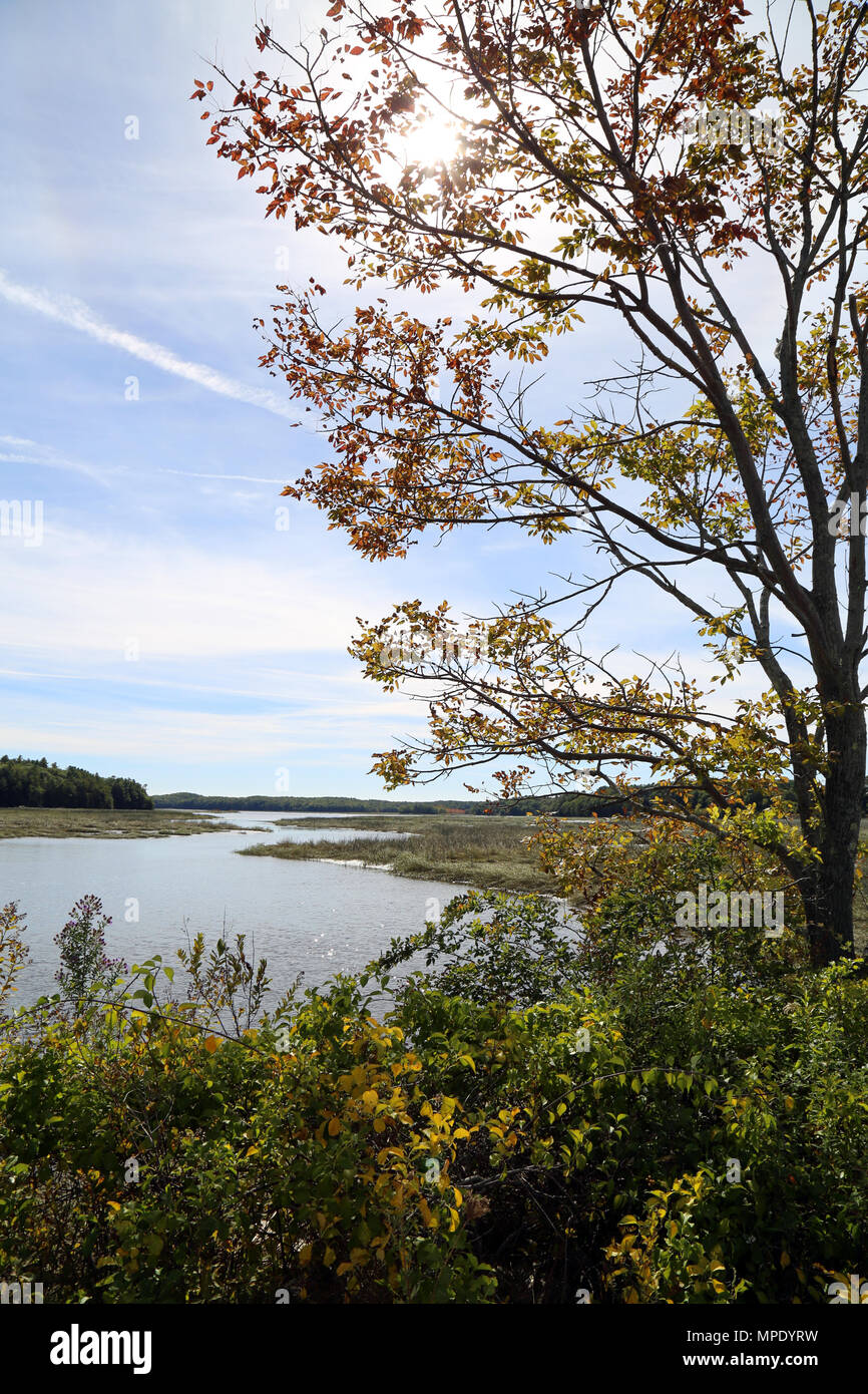 Fall in bar harbor hi-res stock photography and images - Alamy