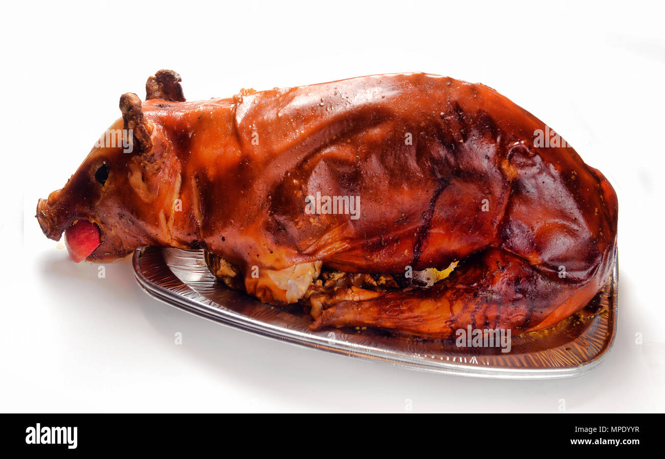 suckling pig roasted in the oven on a white background Stock Photo - Alamy