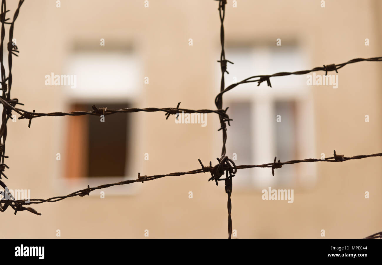 barbed wire in front of the window Stock Photo - Alamy