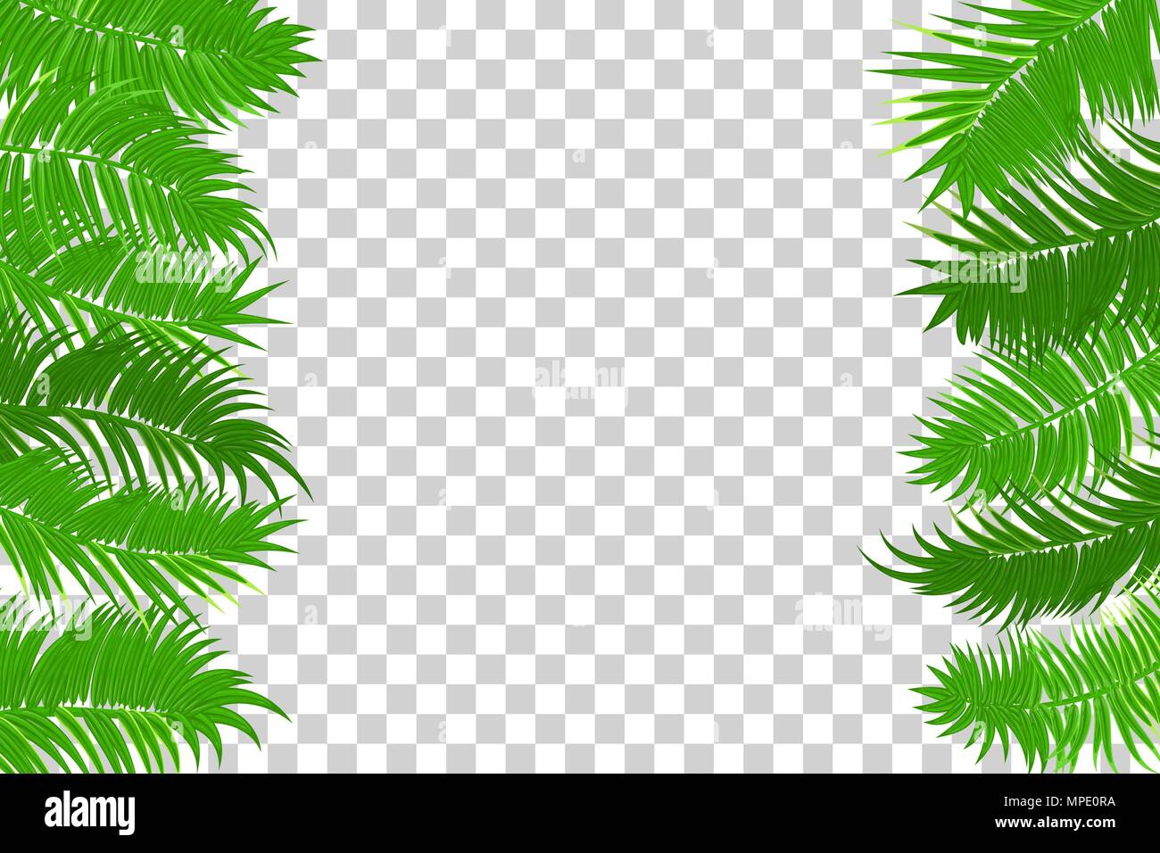 Palm green leaf isolated Stock Vector Images - Alamy