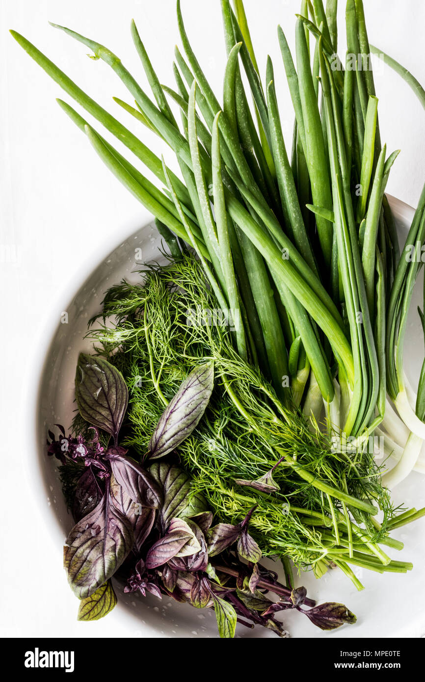 Scallion vegetables ingredient hi-res stock photography and images - Alamy