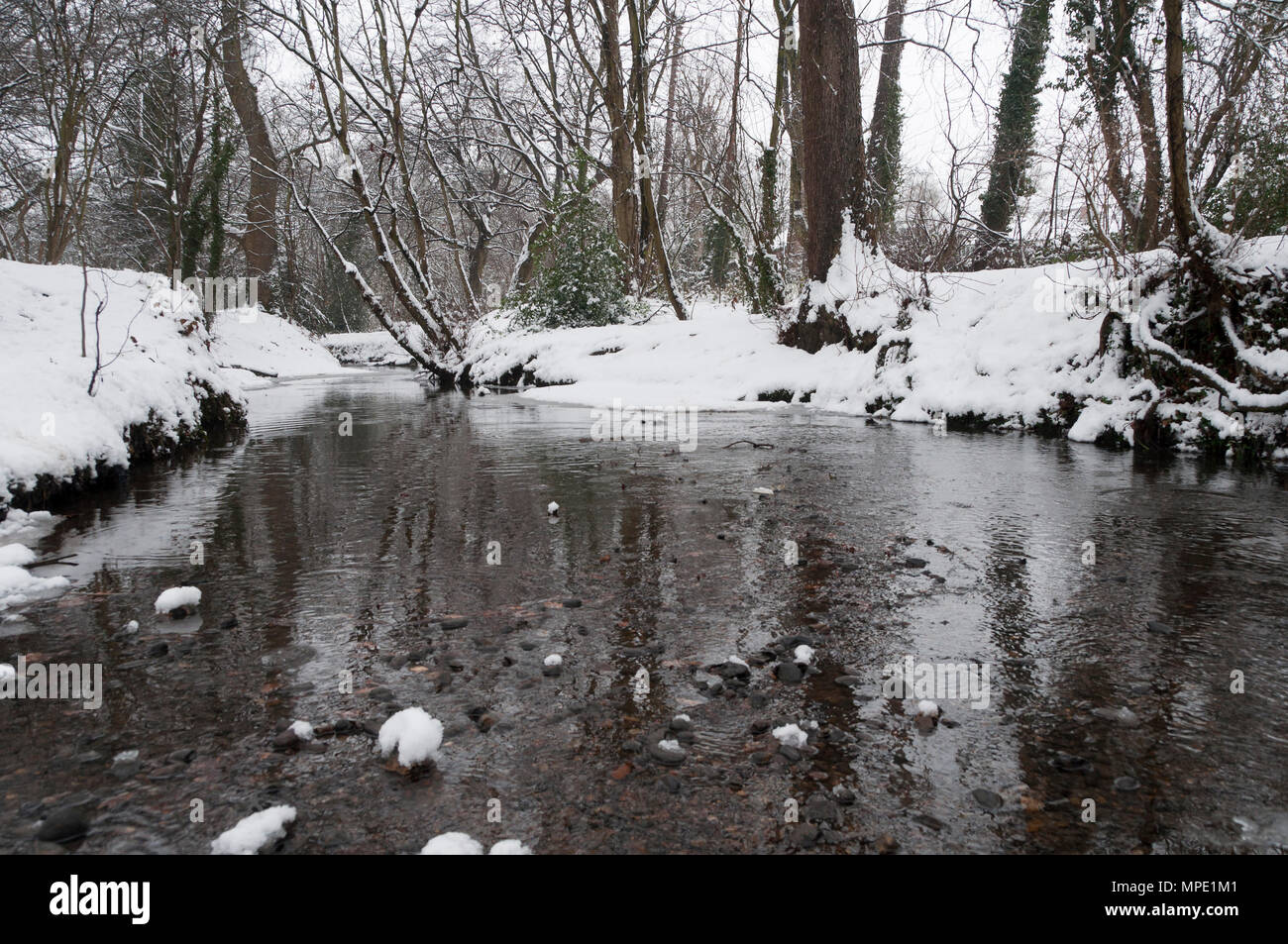 Dollis Brook stream during winter - London Stock Photo - Alamy
