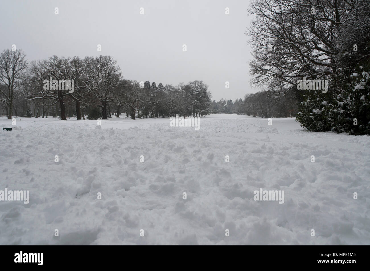 Golf course during winter hi-res stock photography and images - Alamy