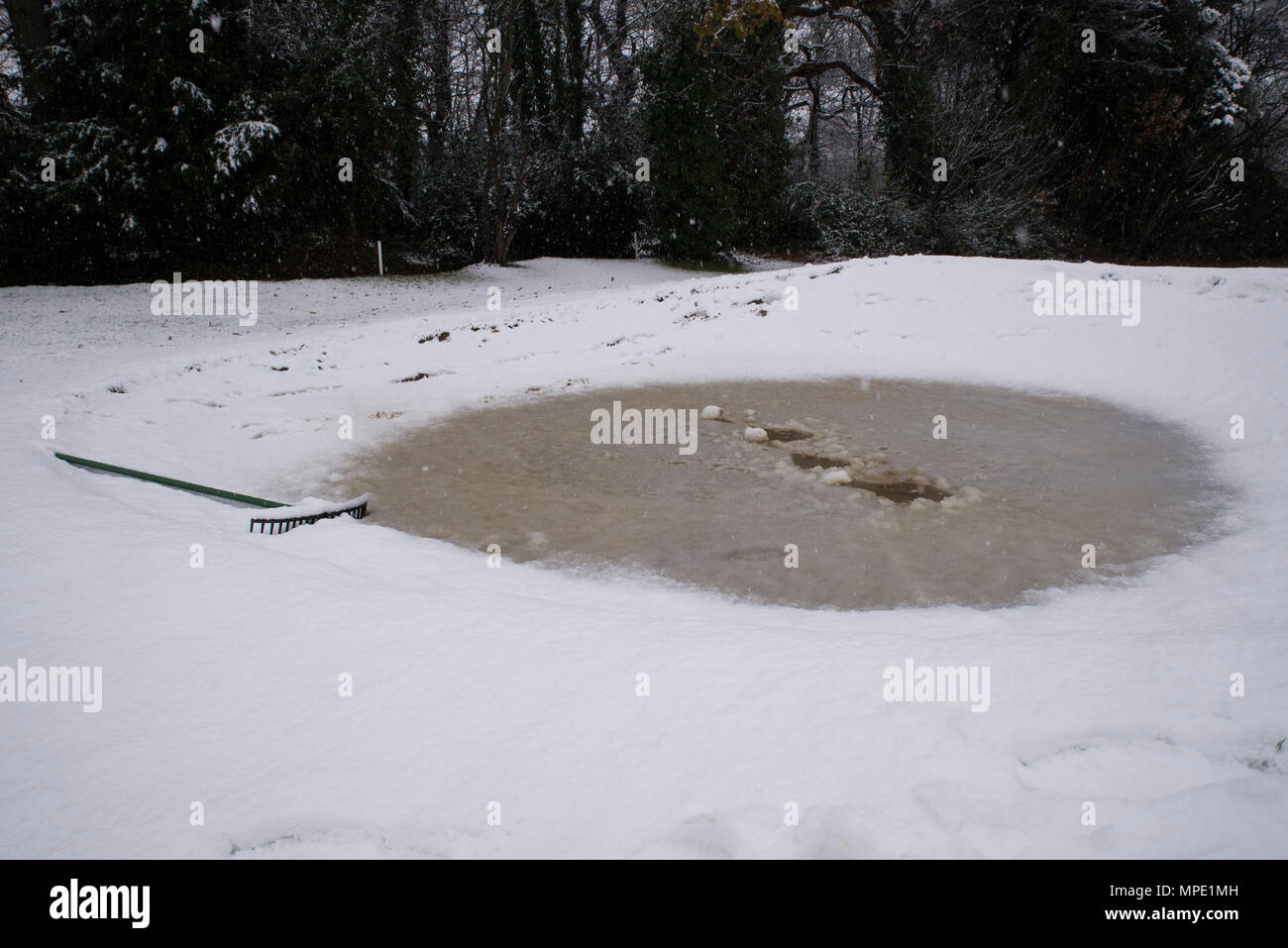 snowy puddle in Dollis Brook - London Stock Photo - Alamy