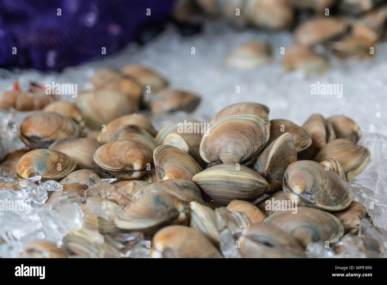 Clams on ice hi-res stock photography and images - Alamy