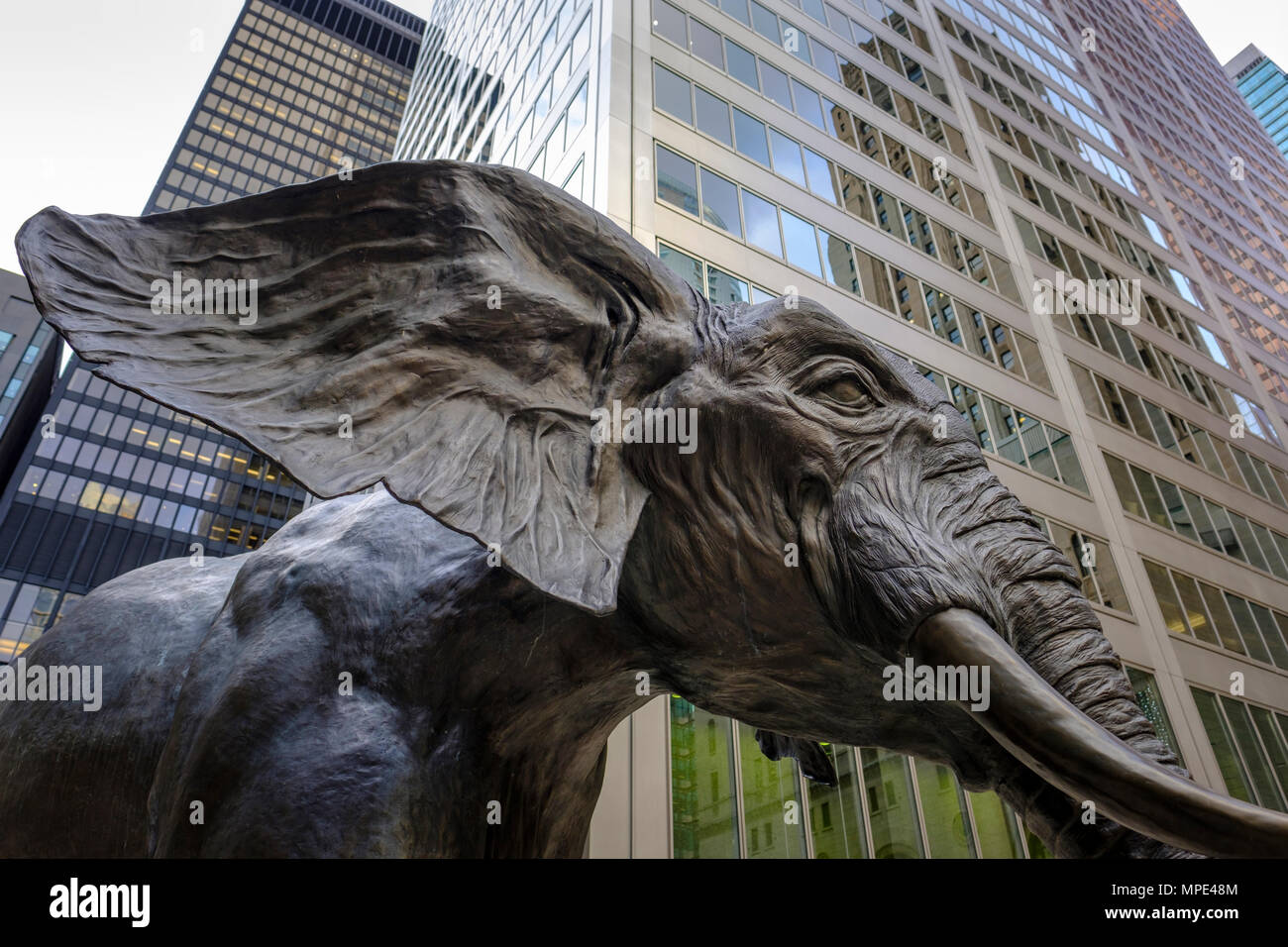 Canada ontario toronto public art in financial hi-res stock photography ...
