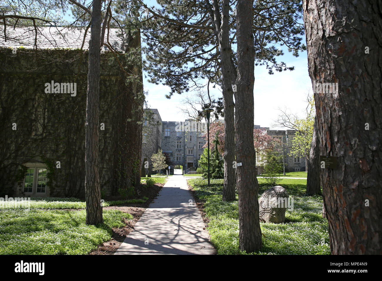 Stevenson Hall Building Western Stock Photo - Alamy