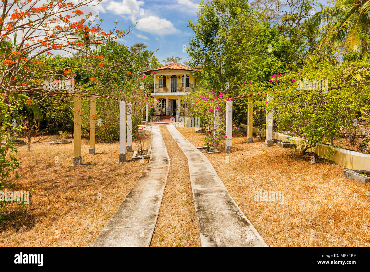 Ocu panama hi-res stock photography and images - Alamy