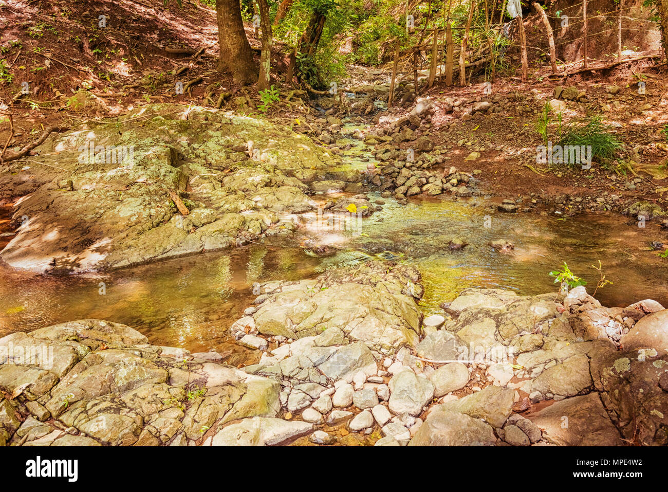Macaracas hi-res stock photography and images - Alamy