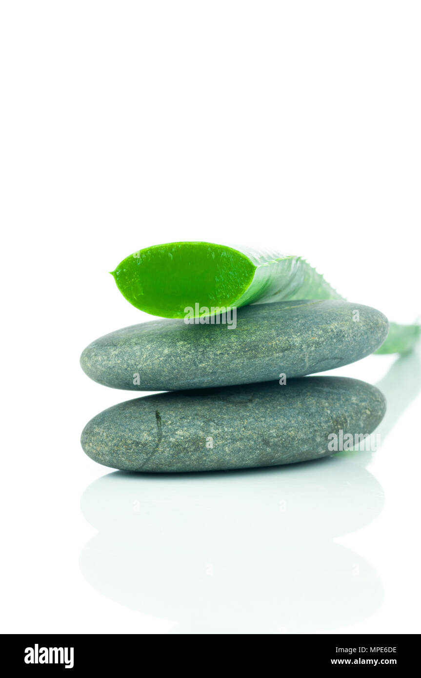 Aloe vera plant and spa stones on white background Stock Photo - Alamy