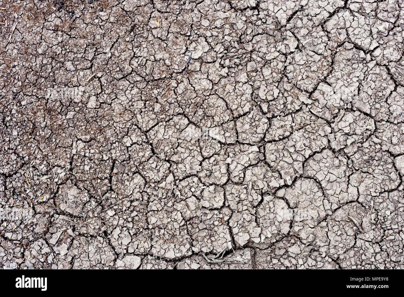 Dry cracked ground for use as a background Stock Photo - Alamy