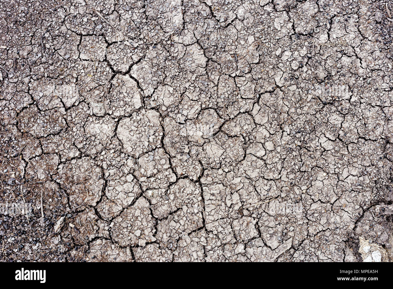 Dry cracked ground for use as a background Stock Photo - Alamy