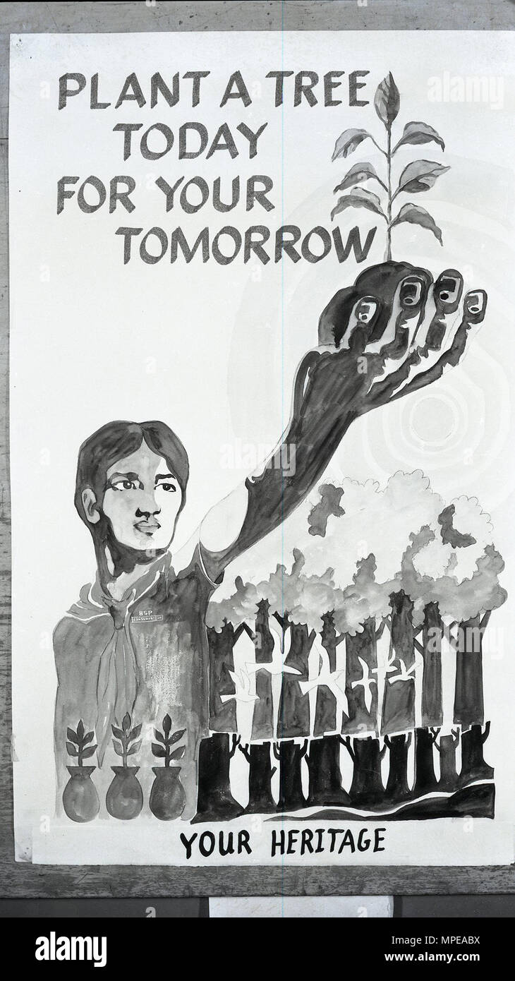 A POSTER OF PLANT A TREE TODAY FOR YOUR TOMORROW YOUR HERITAGE Stock ...