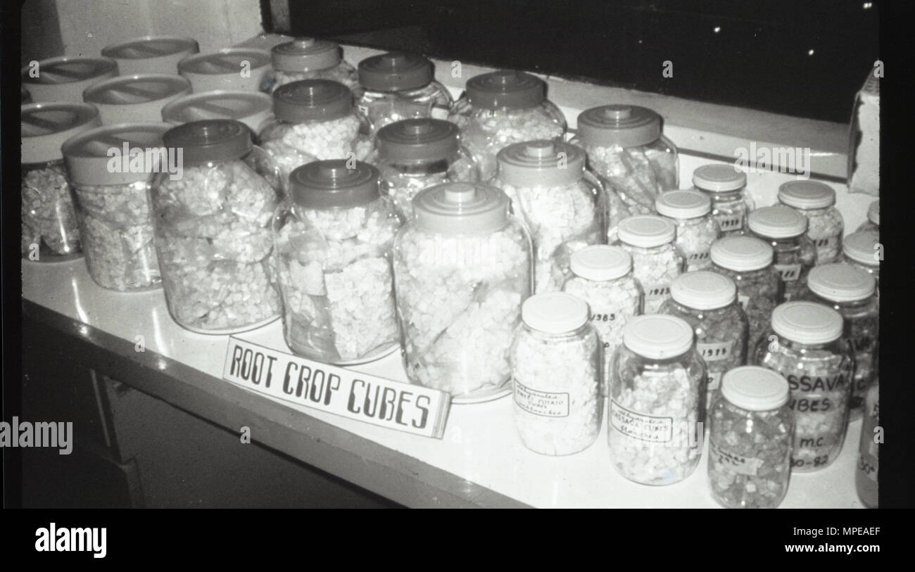 SOME JARS OF FOOD FROM THE ROOT CROP CUBES Stock Photo - Alamy