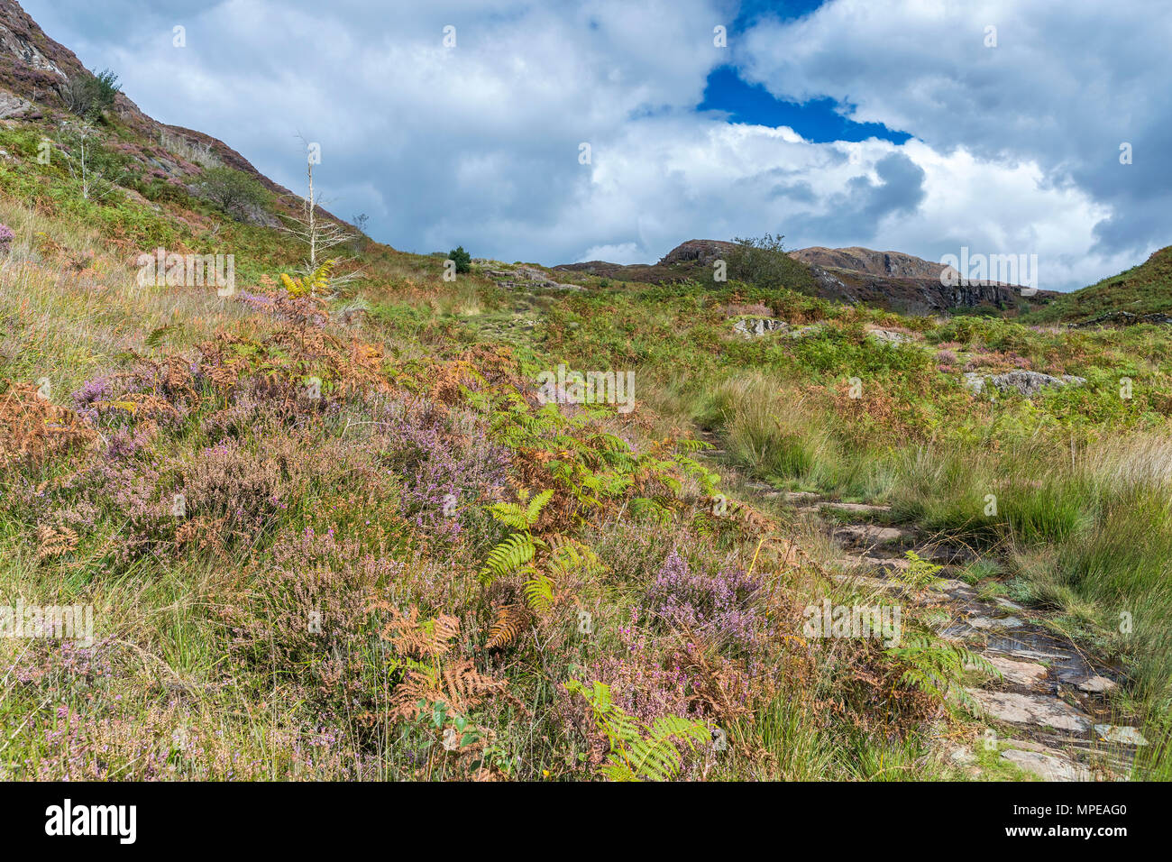 Cwm bychan hi-res stock photography and images - Alamy