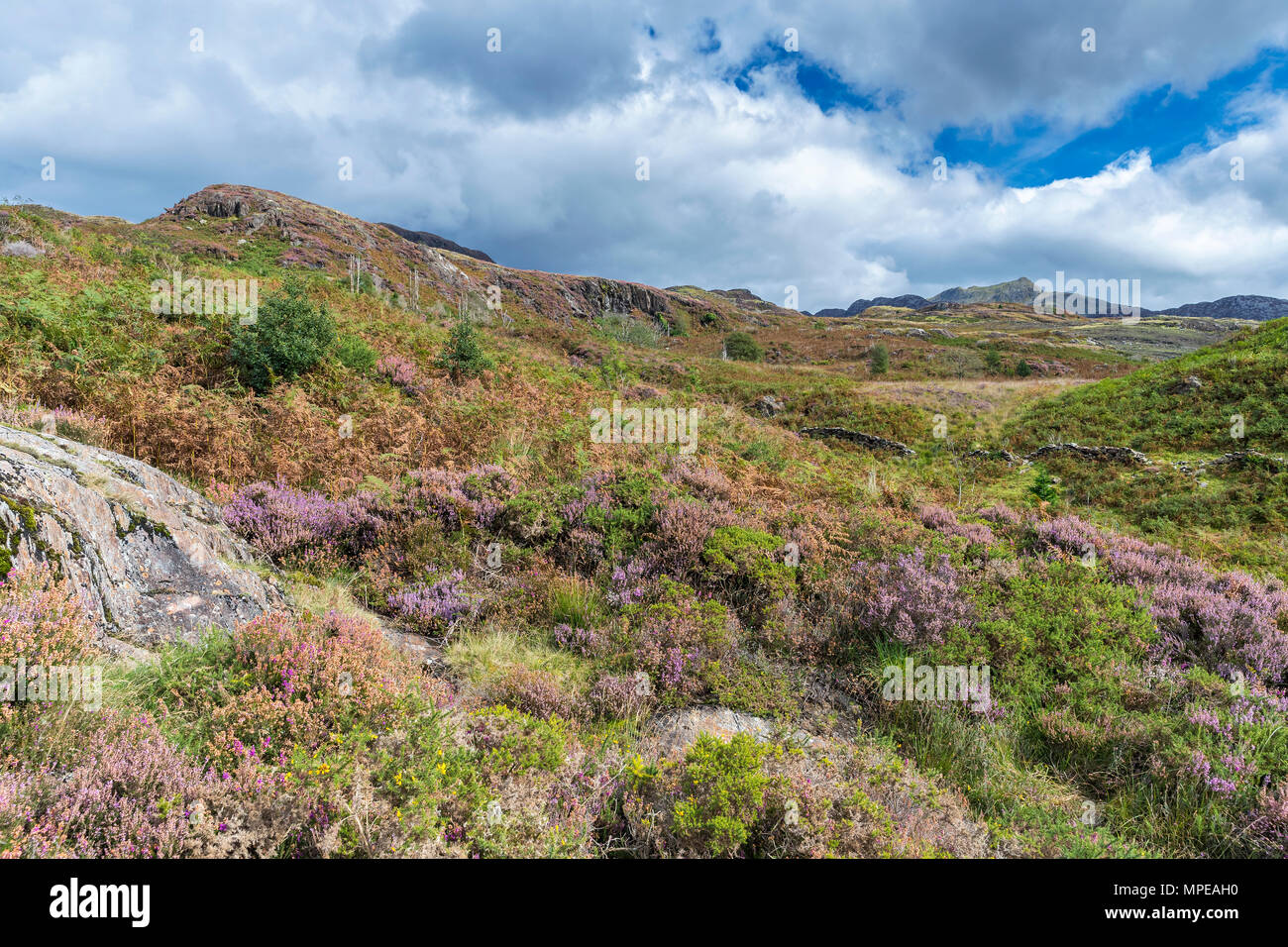 Cwm bychan hi-res stock photography and images - Alamy