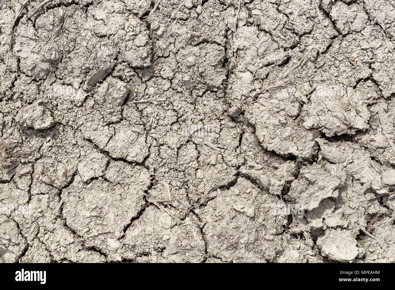 Dry cracked ground for use as a background Stock Photo - Alamy
