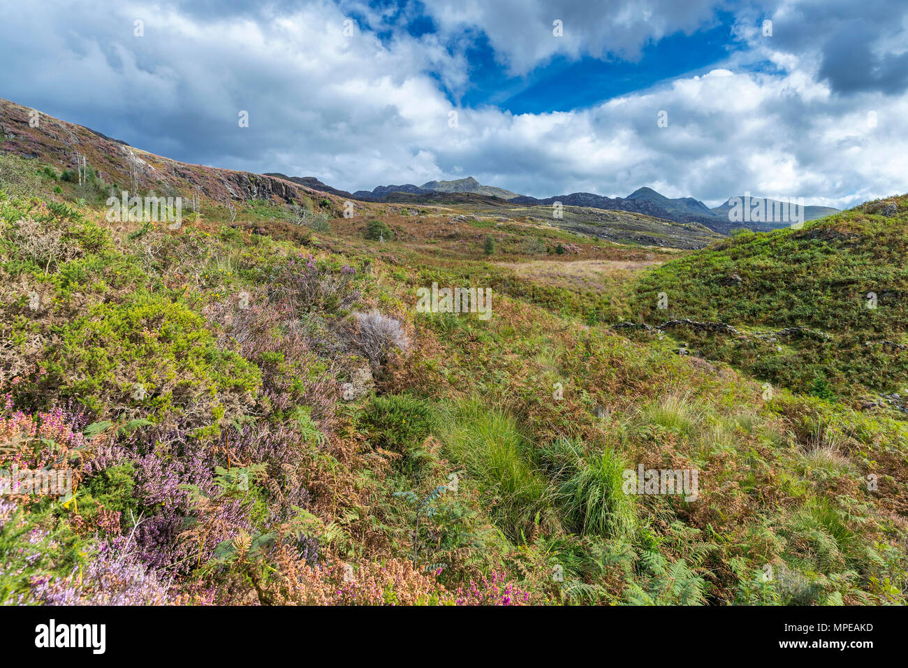 Cwm bychan hi-res stock photography and images - Alamy
