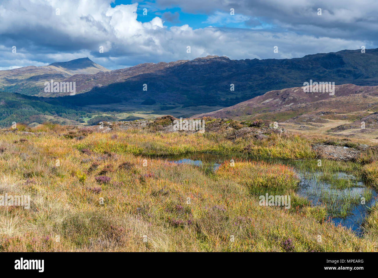 Cwm parc hi-res stock photography and images - Alamy