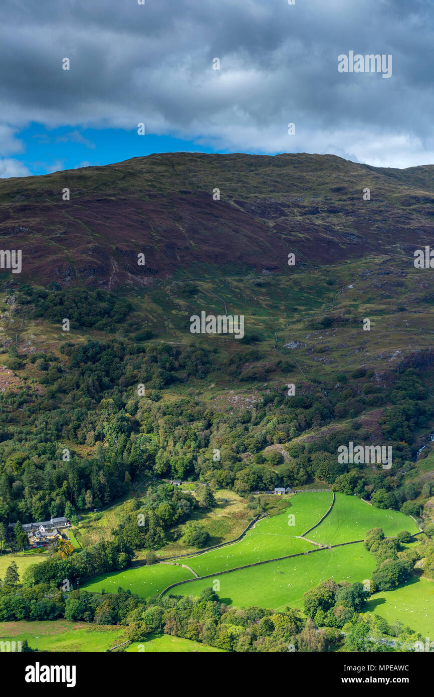 Cwm bychan summer hi-res stock photography and images - Alamy