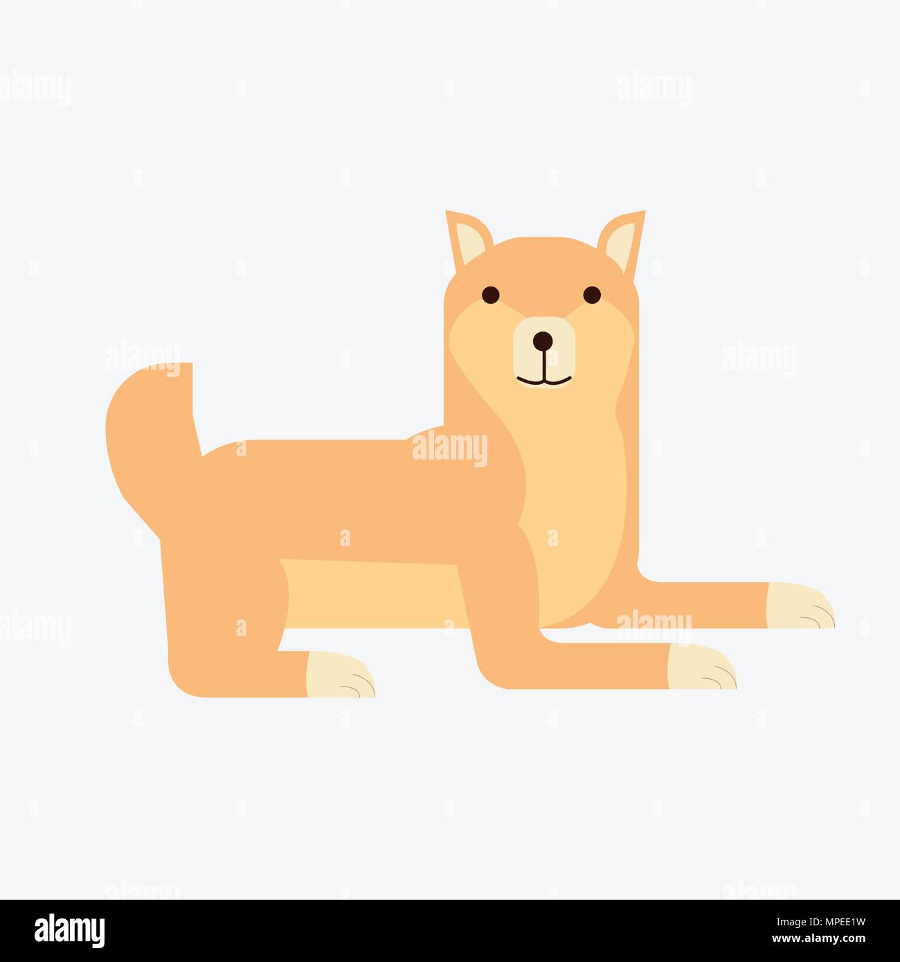 Cute cartoon japanese Shiba Inu dog vector.Flat Shiba Inu dog portrait ...