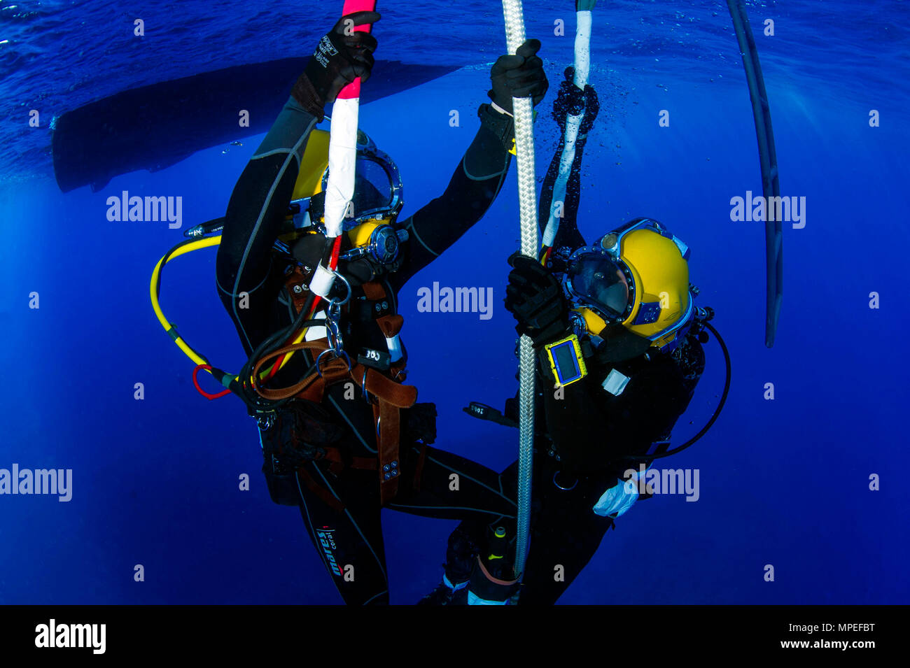 Peacey hi-res stock photography and images - Alamy