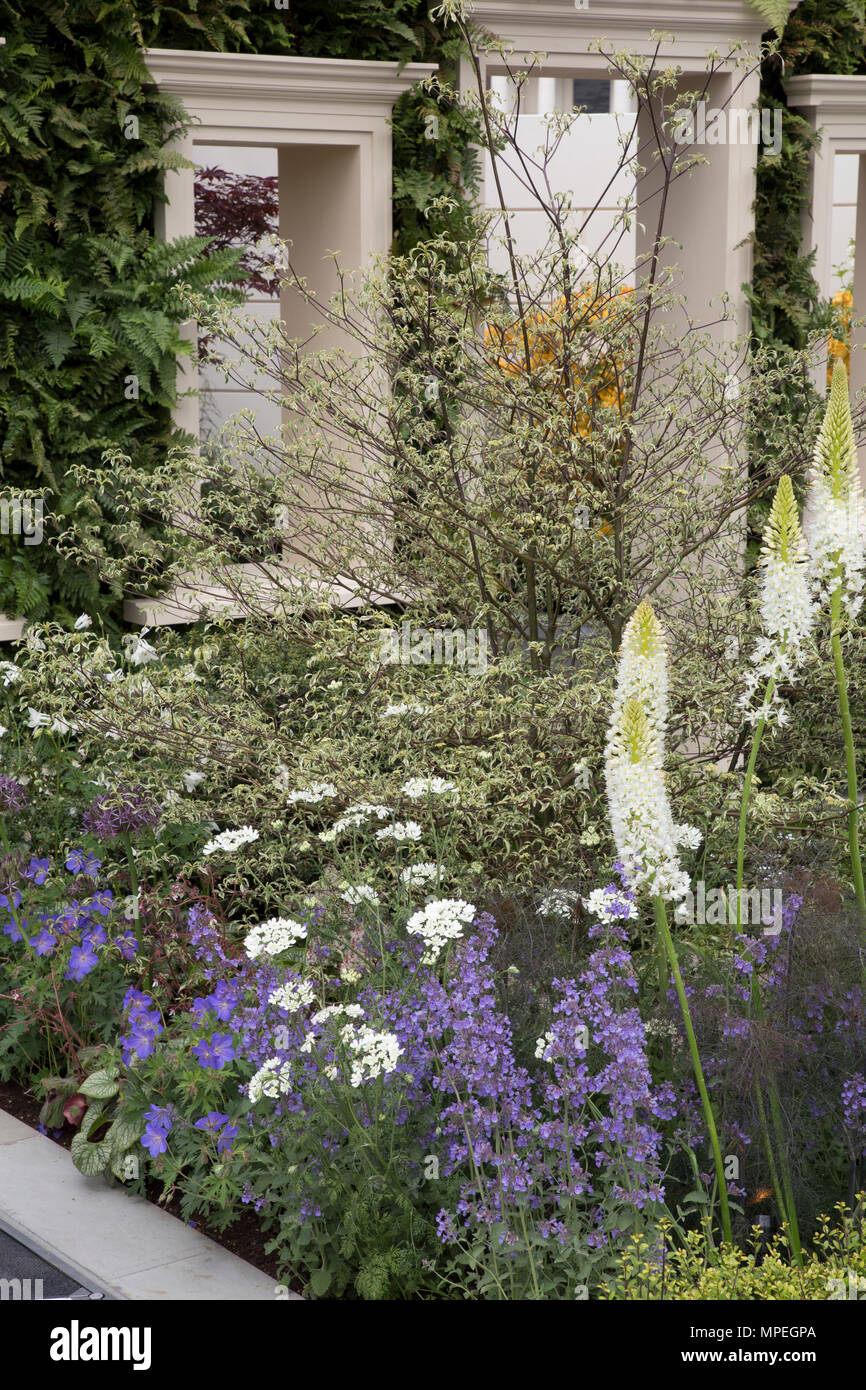 New West End Garden. Designer and Contractor: Kate Gould. Sponsors: New ...