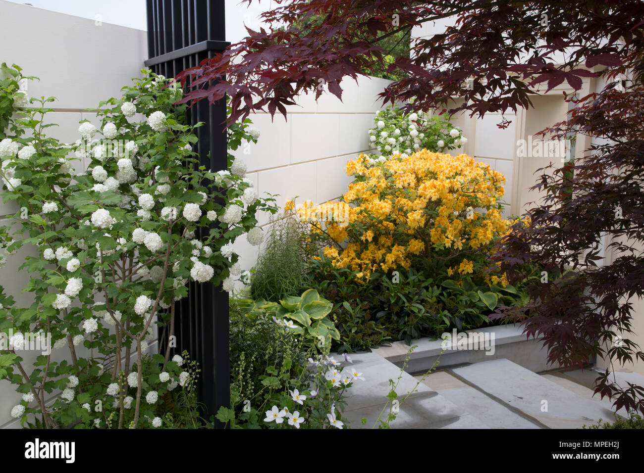 New West End Garden. Designer and Contractor: Kate Gould. Sponsors: New ...