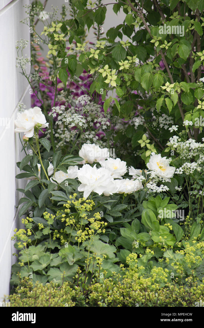 Show garden kate gould hi-res stock photography and images - Alamy