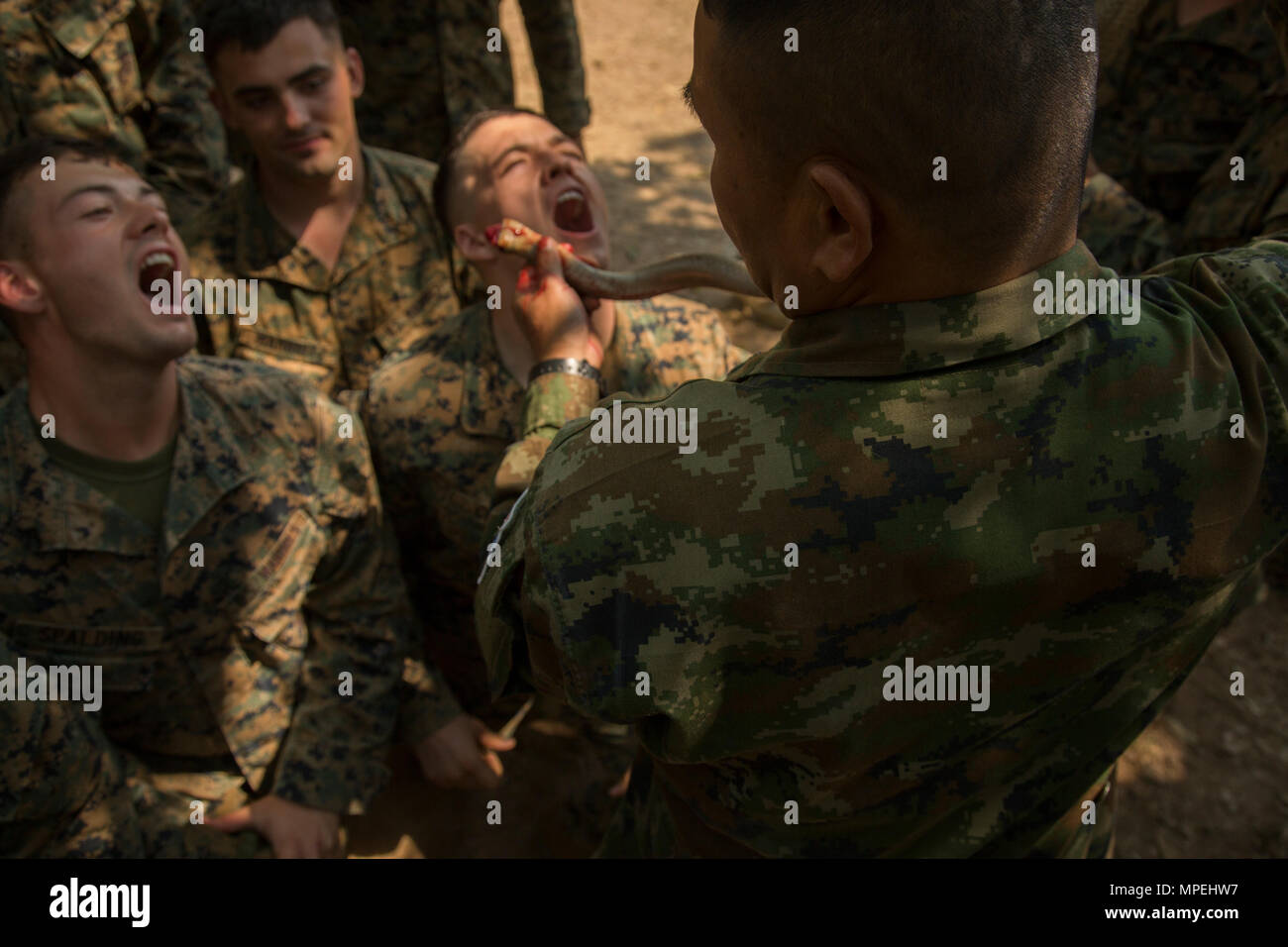 U.S. Marines drink cobra blood during Exercise Cobra Gold 17 at Camp ...