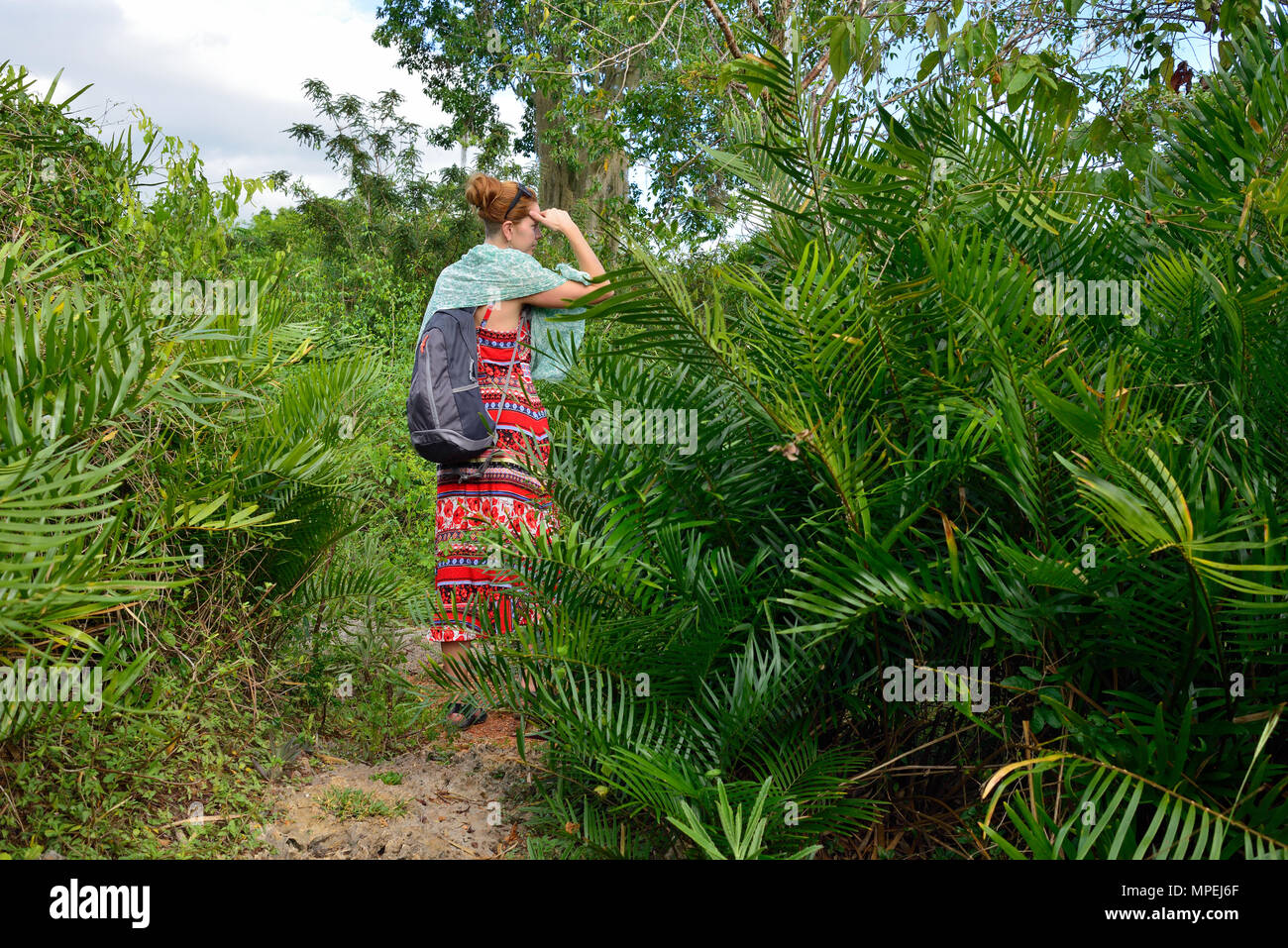 Relaxing tourist on the trekking in the jungle on Dominican Republic ...