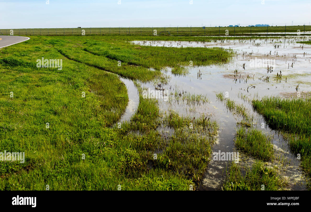 Tire ruts, visible here in a vernal pond Feb. 13, 2017 at Travis Air ...